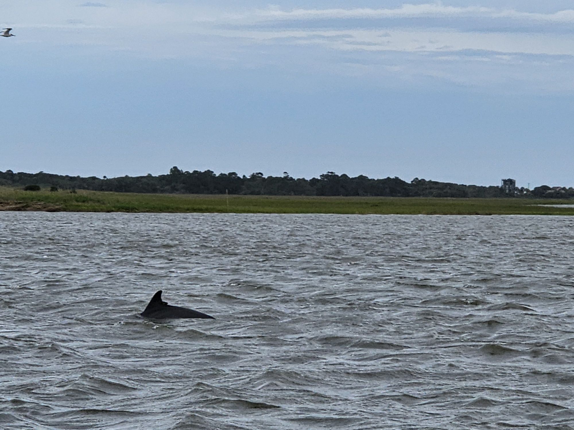 OnlyFins Charters LLC – Your adventure starts here.